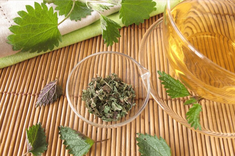 Dilgėlių arbata – turtingas gėrimas jūsų sveikatai