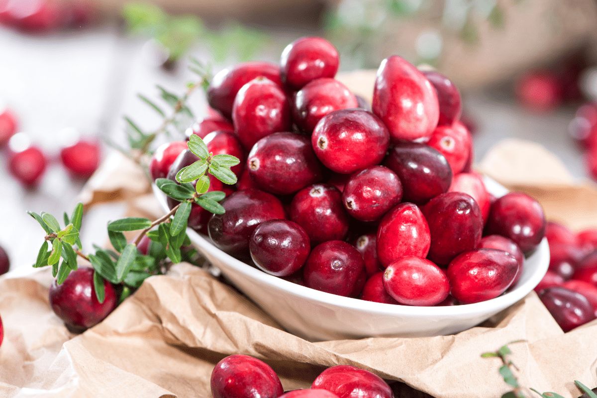 Spanguolių arbata – vaistas prieš šlapimo takų infekcijas - Arbatos Nauda