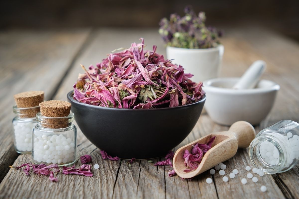 Ežiuolės arbata – pirmoji pagalba imuniteto stiprinimui peršalus ...