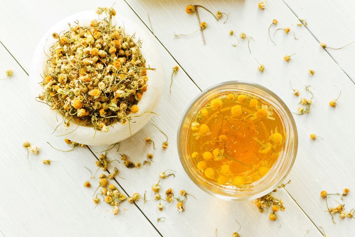 Smiltyninis šlamutis – gėlė – vaistas arbatos puodelyje - Arbatos Nauda ...