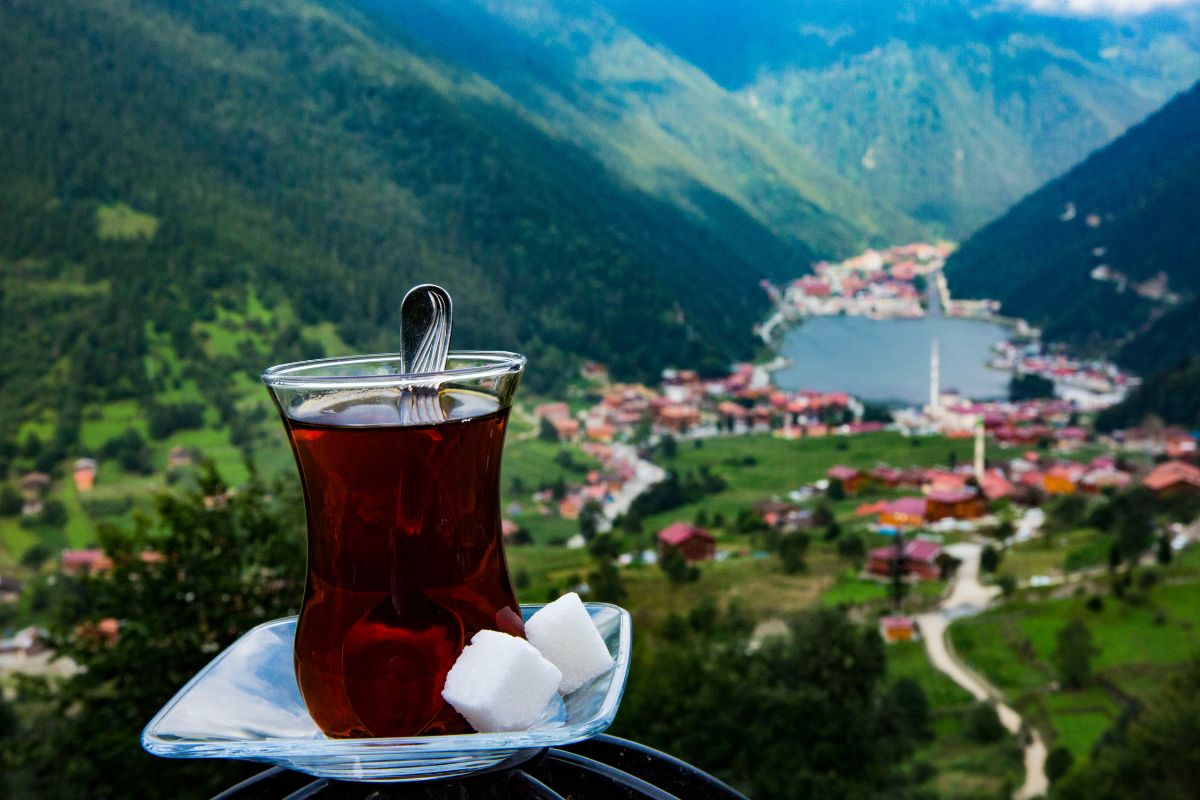 Kaip arbata užkariavo pasaulį - Arbatos Nauda