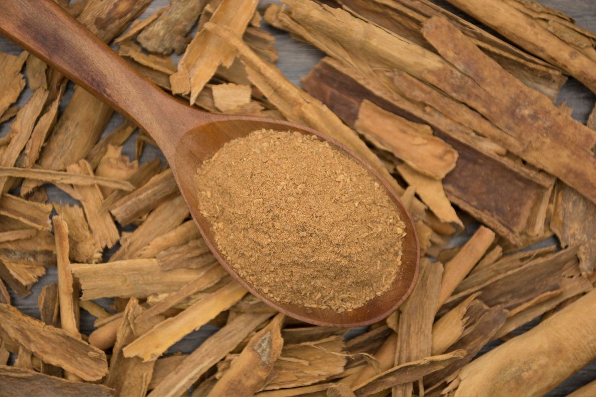 Cinamono arbata - vertingojo prieskonio gėrimas