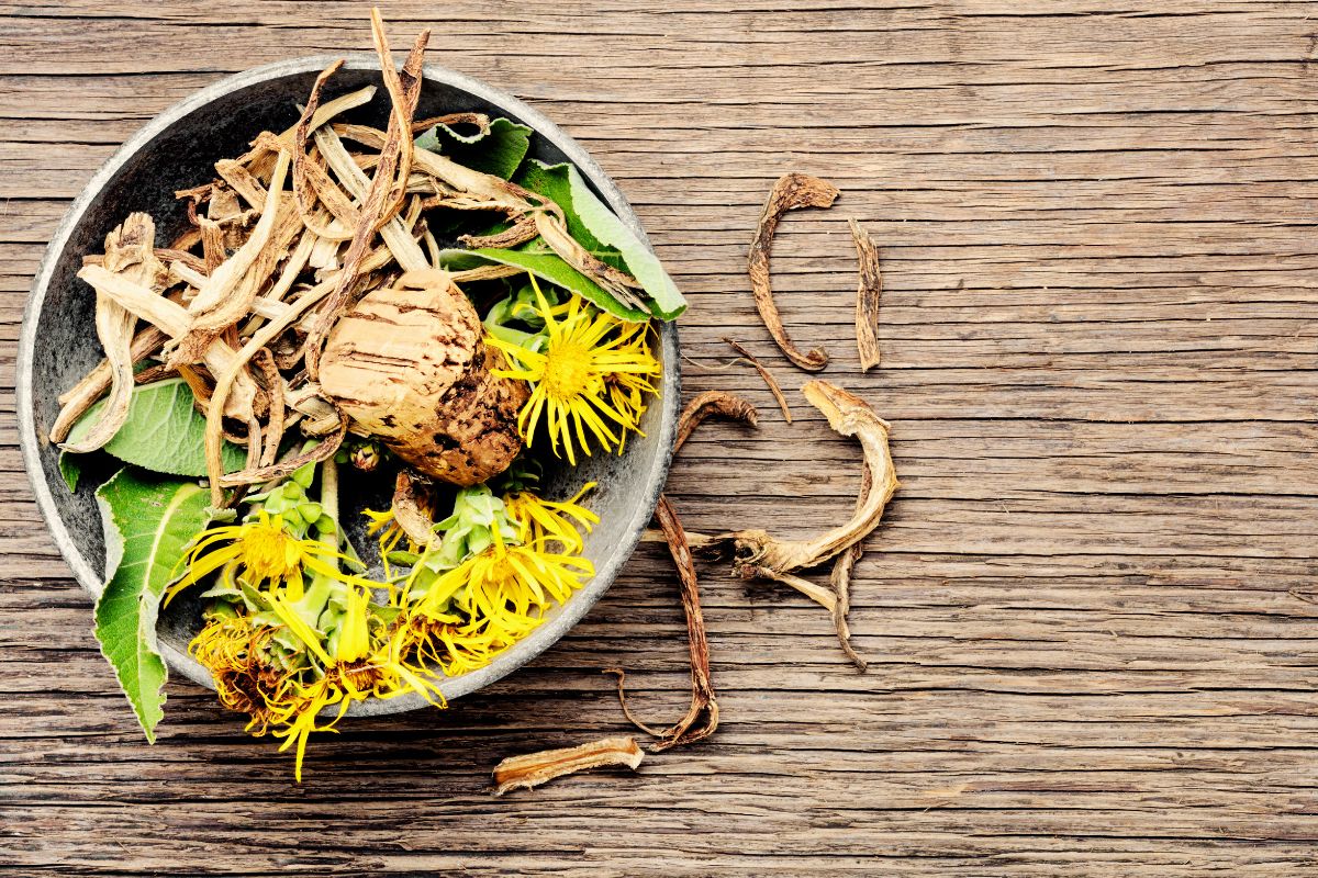 Debesylų arbata – mikrobų išvarymui iš jūsų organizmo - Arbatos Nauda ...