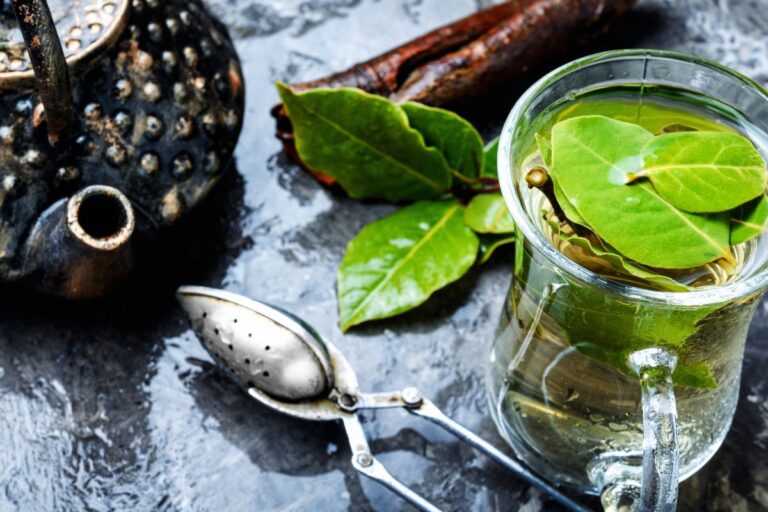Lauro lapų arbata - neįtikėtinai sveikas gėrimas