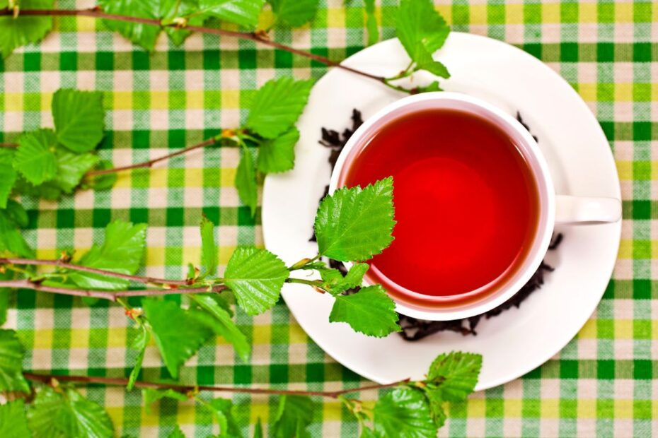 Lietuviškų beržų lapų arbata - sveikata puodelyje