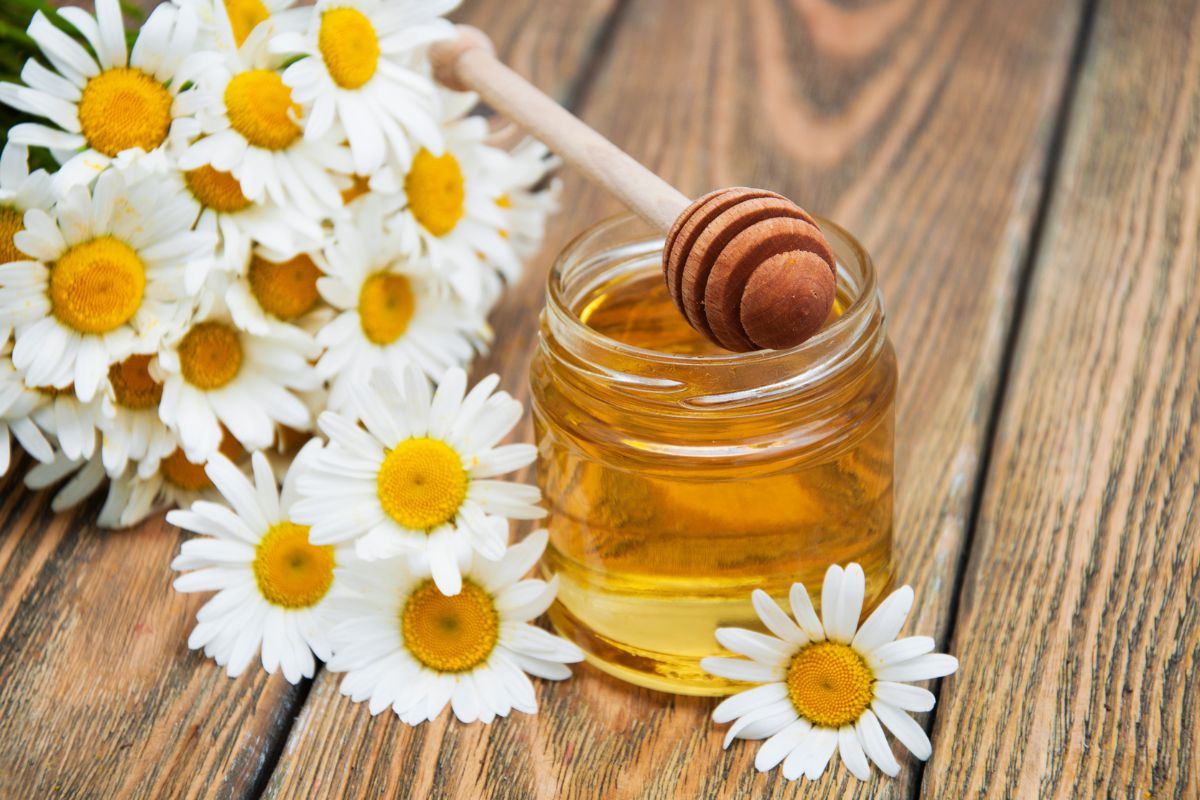 Kuo medus toks ypatingas? Kurią medaus rūšį geriau pasirinkti ...