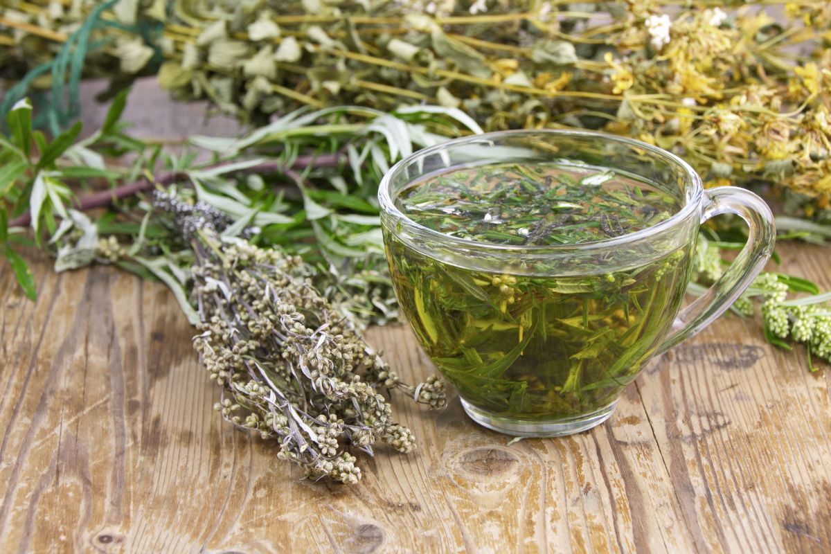 Pelyno arbata – naikina viską, dėl ko mūsų organizmas serga