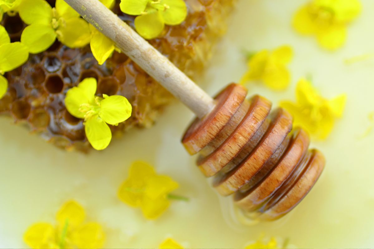 Kuo medus toks ypatingas? Kurią medaus rūšį geriau pasirinkti ...