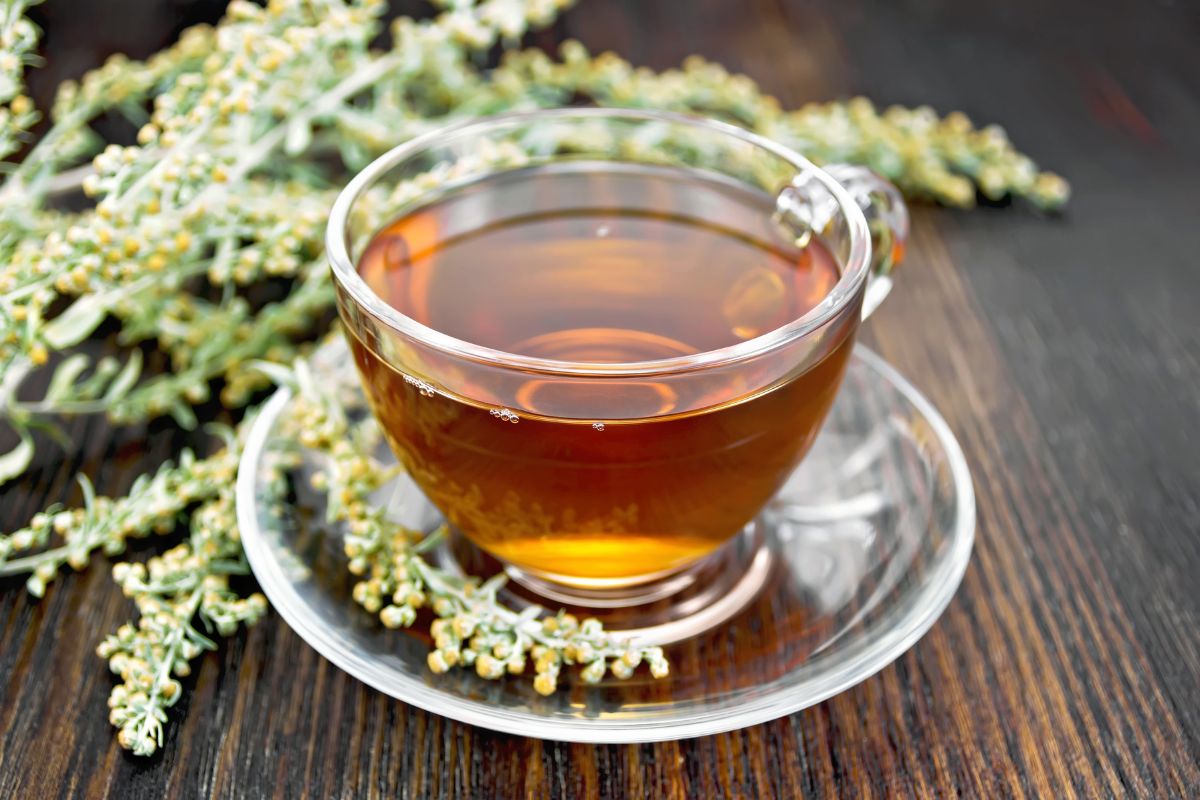 Pelyno arbata – naikina viską, dėl ko mūsų organizmas serga