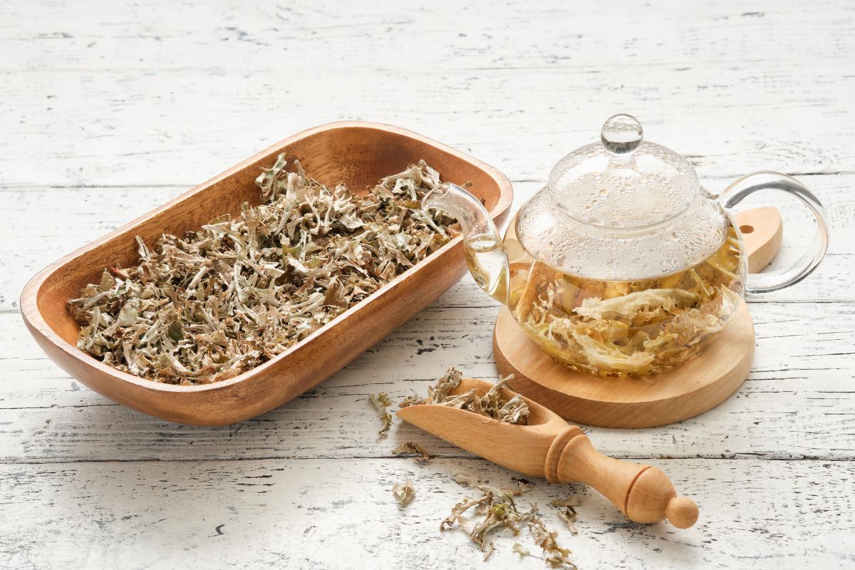 Arbata nuo kosulio - natūralus vaistas. Bent vieną turėkite