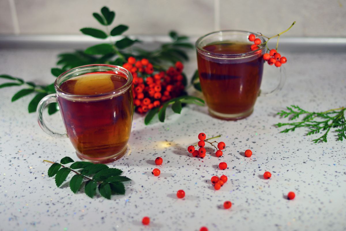 Šermukšnių arbata ir jos nauda. Ar jau išbandėte visus šios arbatos ...