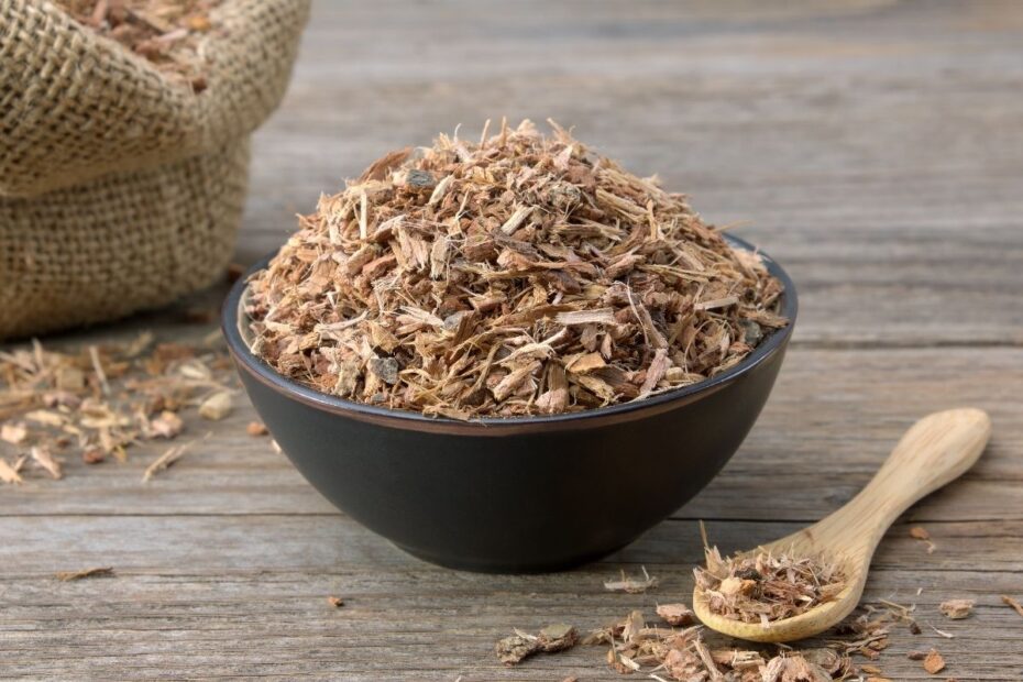 Ąžuolo žievės arbata – ligoms gydyti