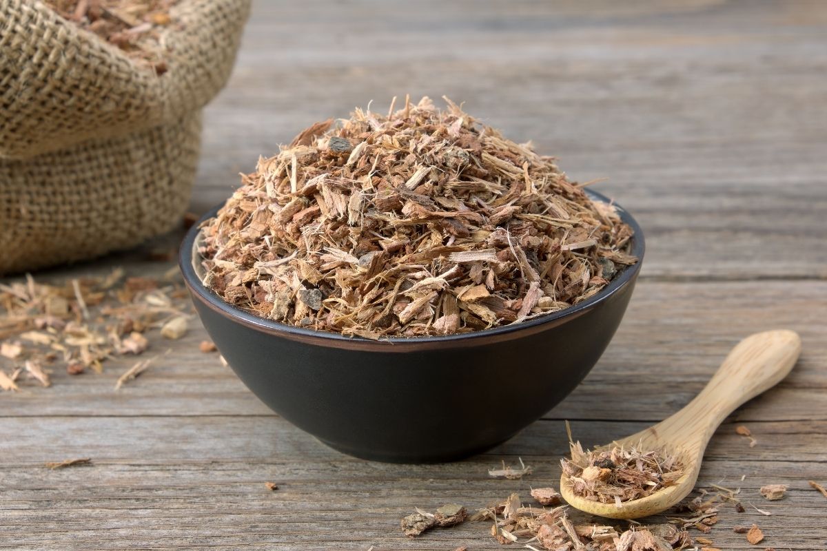 Ąžuolo žievės arbata – ligoms gydyti