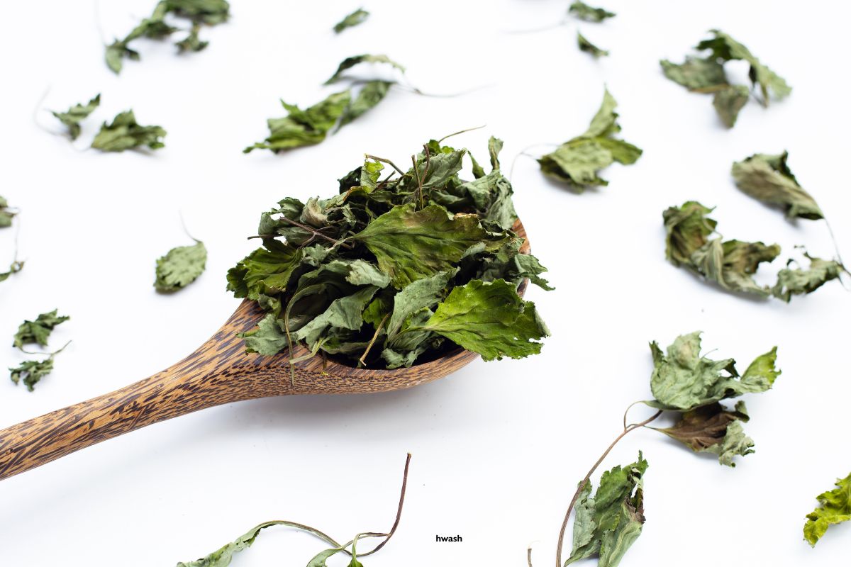 Žemuogių arbata iš uogų ir lapų: imunitetui ir kepenims