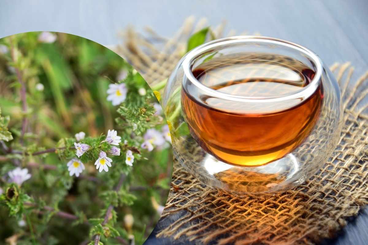 Akišveitės arbata - akių ligų gydymui