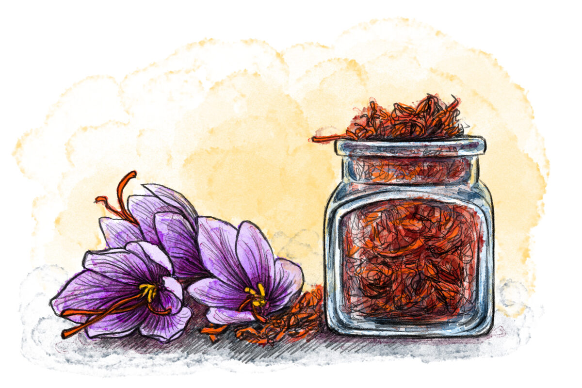 Šafrano arbata - galingas antioksidantas, gerinantis nuotaiką