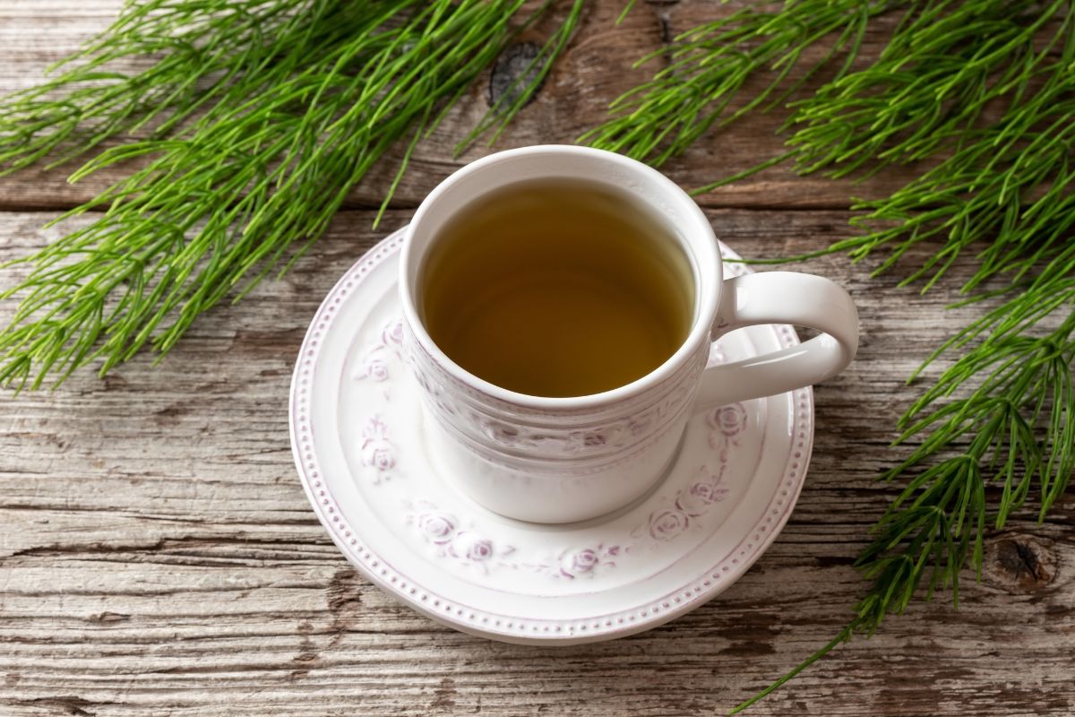 Asiūklio arbata inkstų akmenligei bei šlapimo pūslės uždegimui gydyti