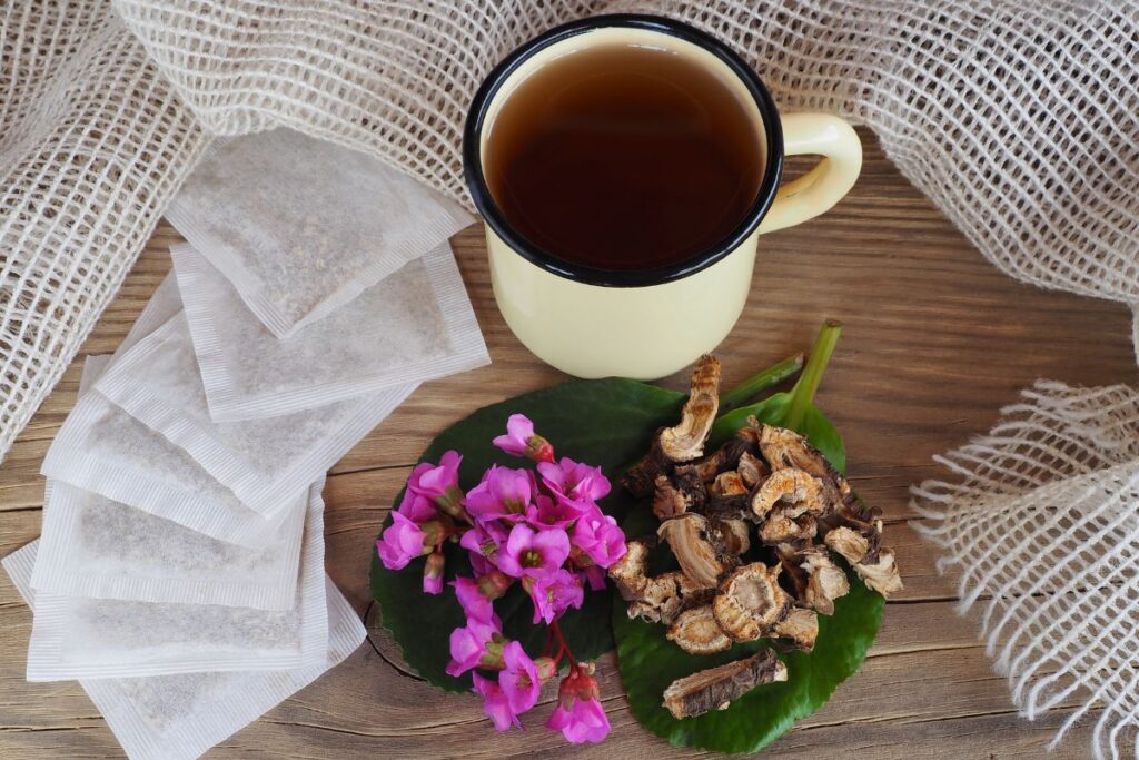 Bergenijos arbata – unikali. Kovą pradėkite rinkti lapelius