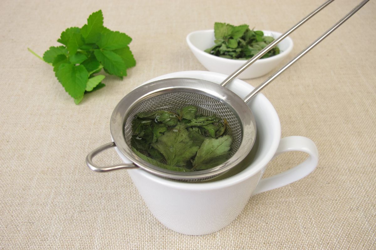 Garšvų arbata – kuo ji ypatinga ir nuo kokių ligų padeda