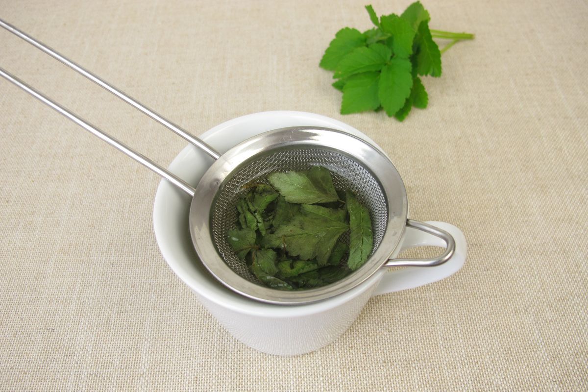 Garšvų arbata – kuo ji ypatinga ir nuo kokių ligų padeda