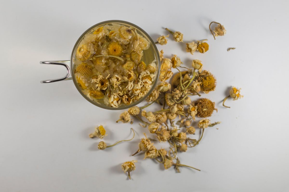 Parazitus valanti arbata: kuri tinka? Kaip ruošti ir vartoti