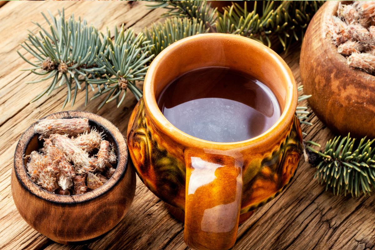 Pumpurų arbata: iš ko ją galima ruošti ir kada ją vartoti?