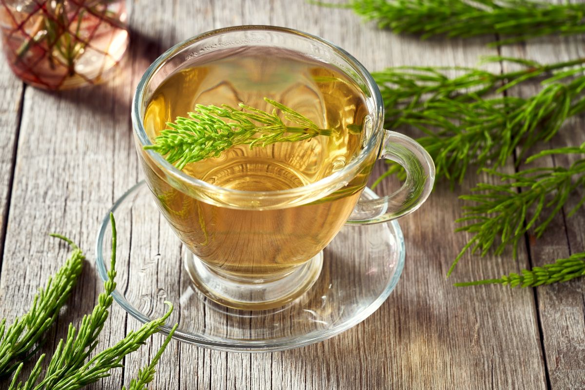 Šlapimą varanti arbata: ar ji gali pakeisti vaistus?