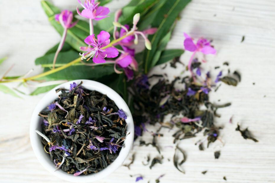 Ivano arbata: nauda, paruošimas ir sveikatinantys receptai