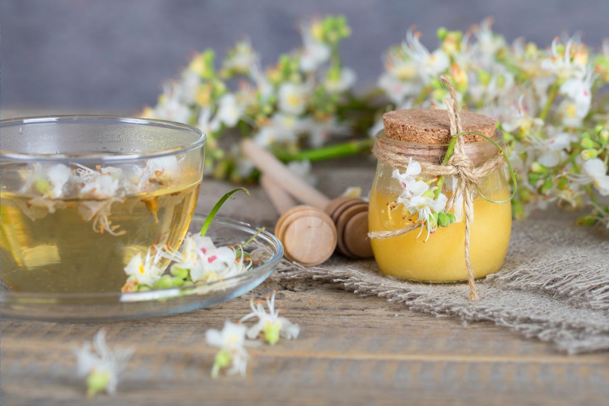 Kaštonų žiedų arbata - puikus antioksidantų šaltinis