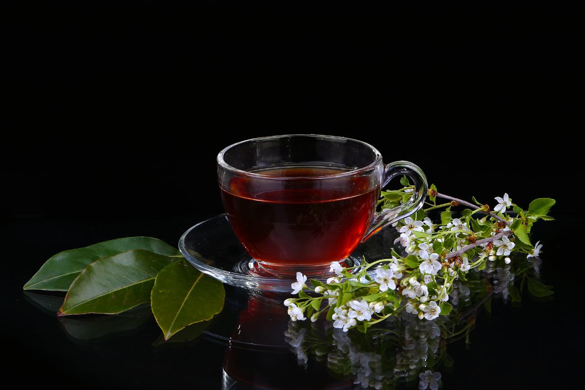 Vyšnių lapų arbata – idealus pasirinkimas šaltajam sezonui
