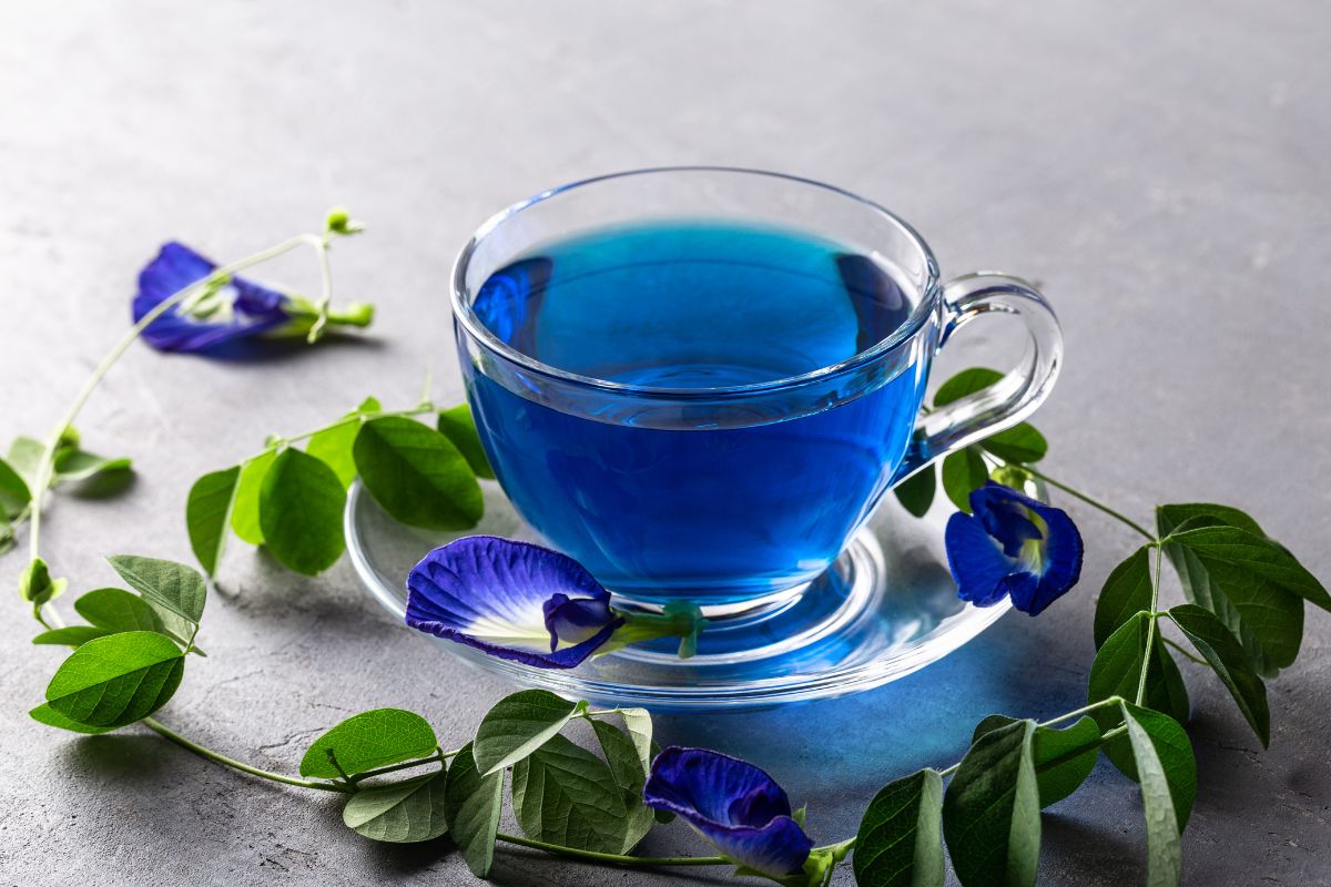 Mėlynosios balnapupės arbata stebina sodria mėlyna spalva