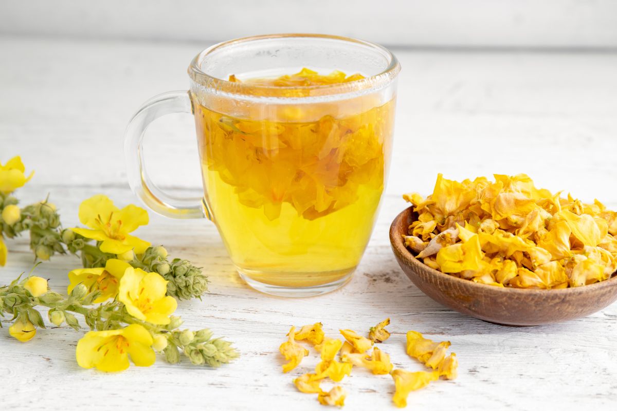 Juodoji tūbė – ypatinga pakelių žolelės galia puodelyje